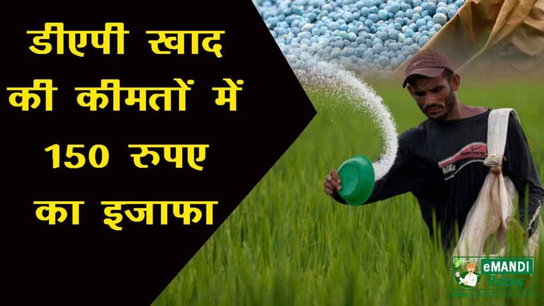 DAP Khad Price: डीएपी खाद की कीमतों में इजाफा, जानें क्या होगा नया भाव?